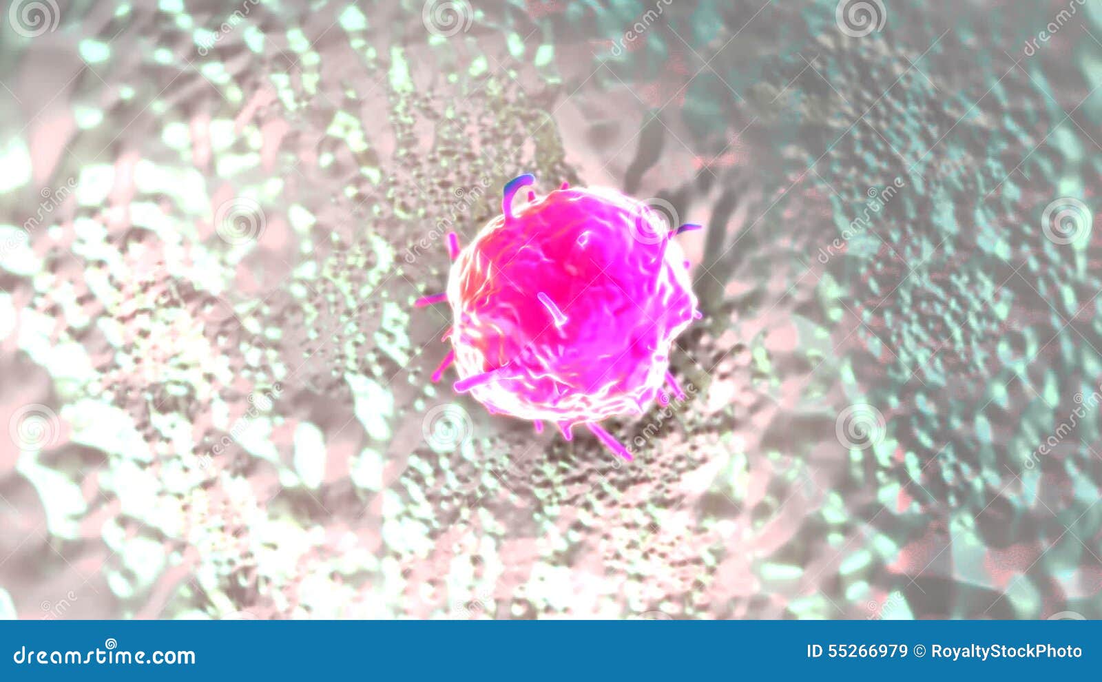 Embryonic stem cells stock video. Video of clump, hesc - 55266979