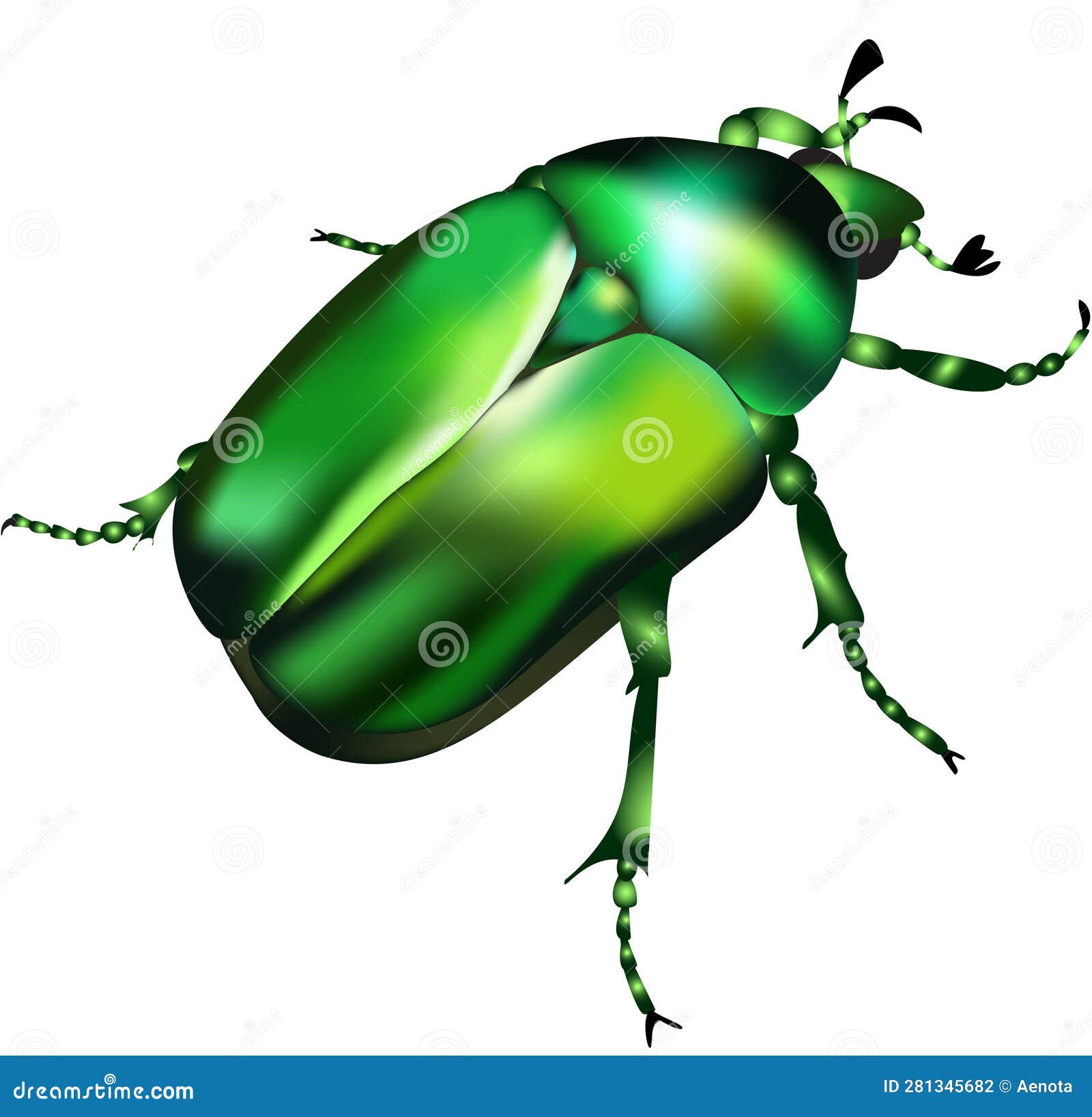 Emerald Chafer - Vector Illustration Stock Vector - Illustration of ...