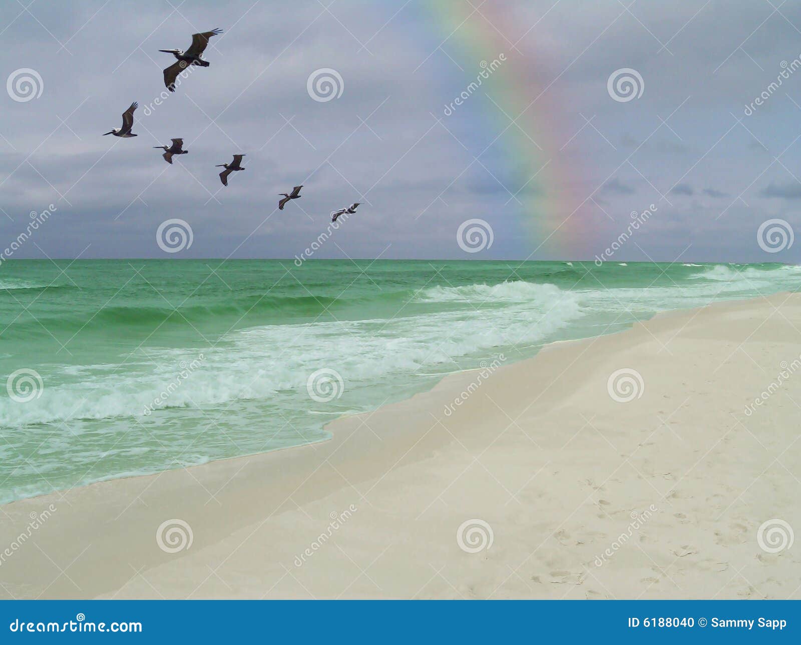 Emerald Coast stock photo. Image of emerald, green, sand - 6188040