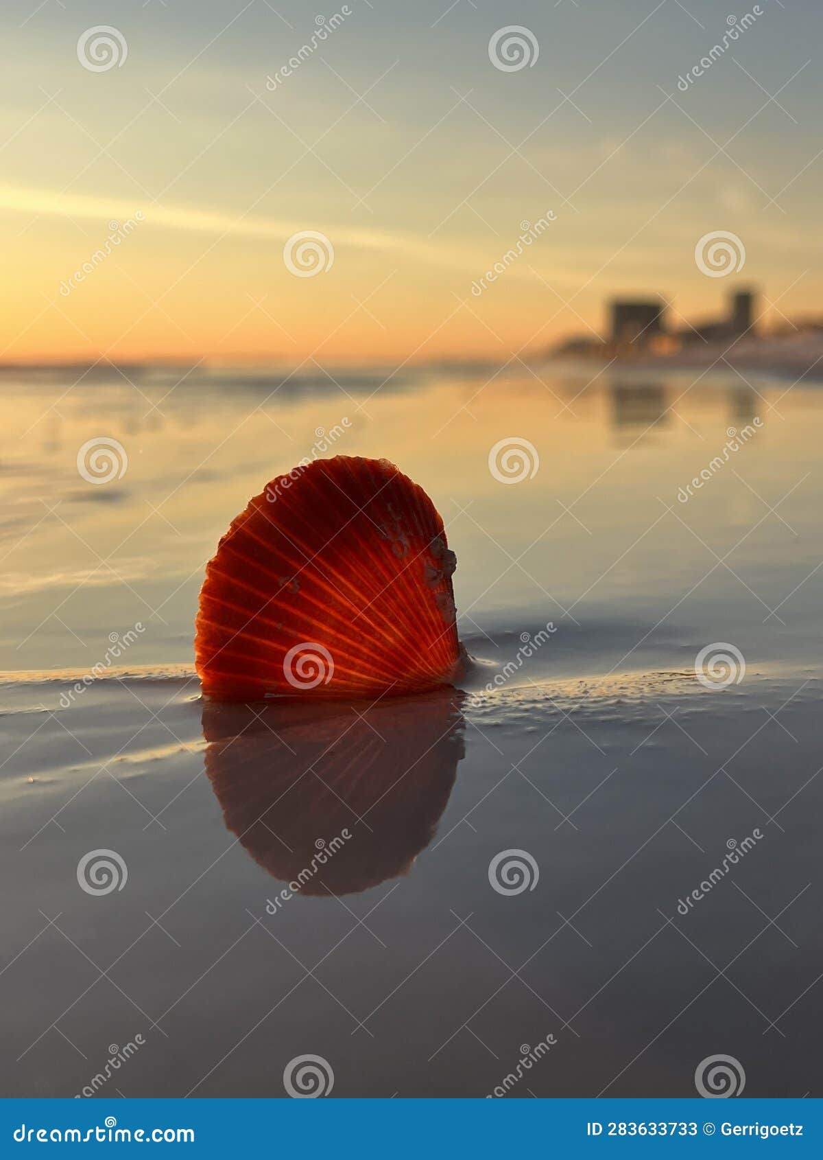 Emerald Coast Florida Sunset with Seashell and Reflections Stock Image ...
