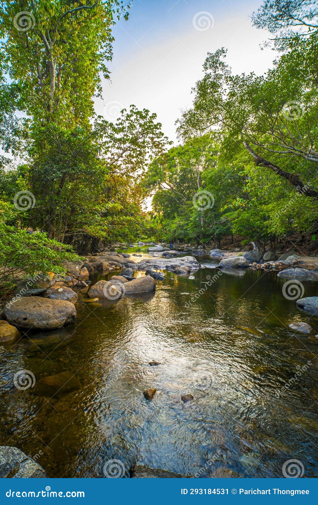Emerald Elegance Serene Stream and Rocky Pebbles in the Deep Green ...