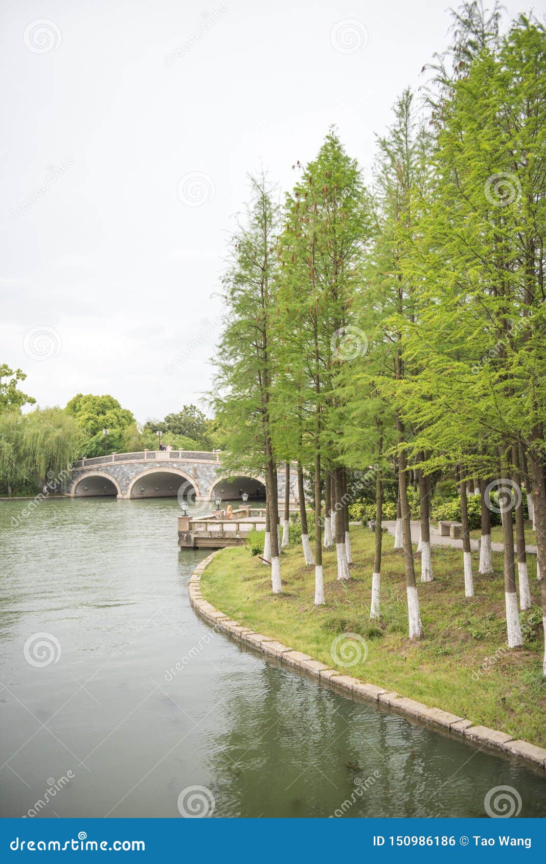 Emerald Green Forest beside an Arch Bridge Stock Photo - Image of ...