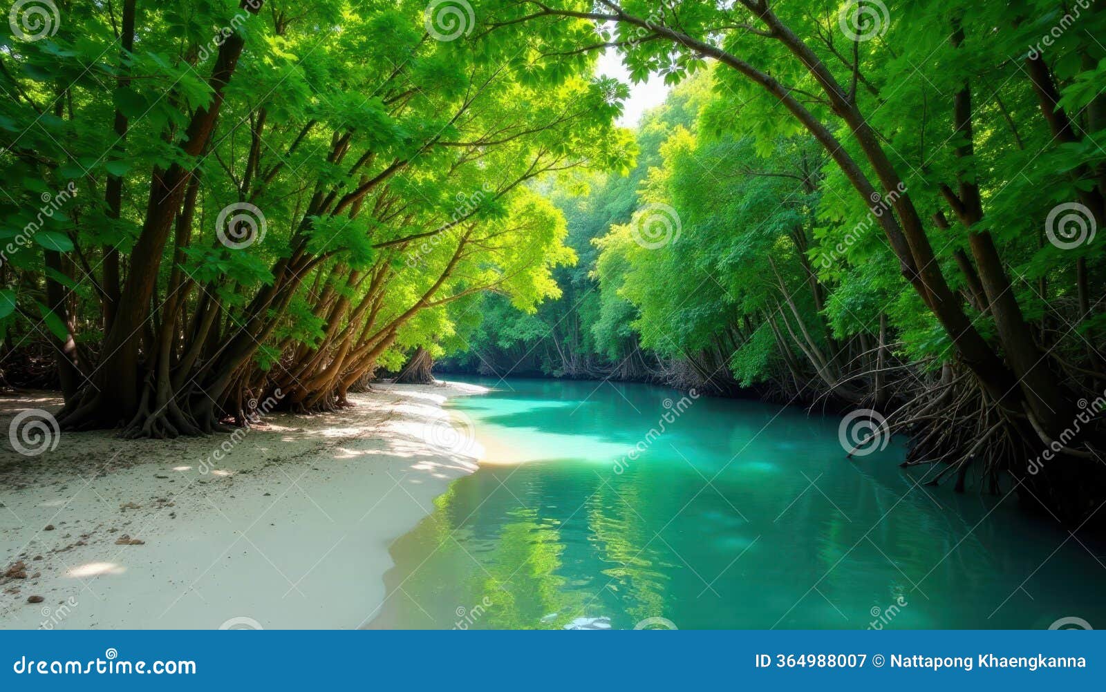 Sandbars Cartoons, Illustrations & Vector Stock Images - 145 Pictures ...