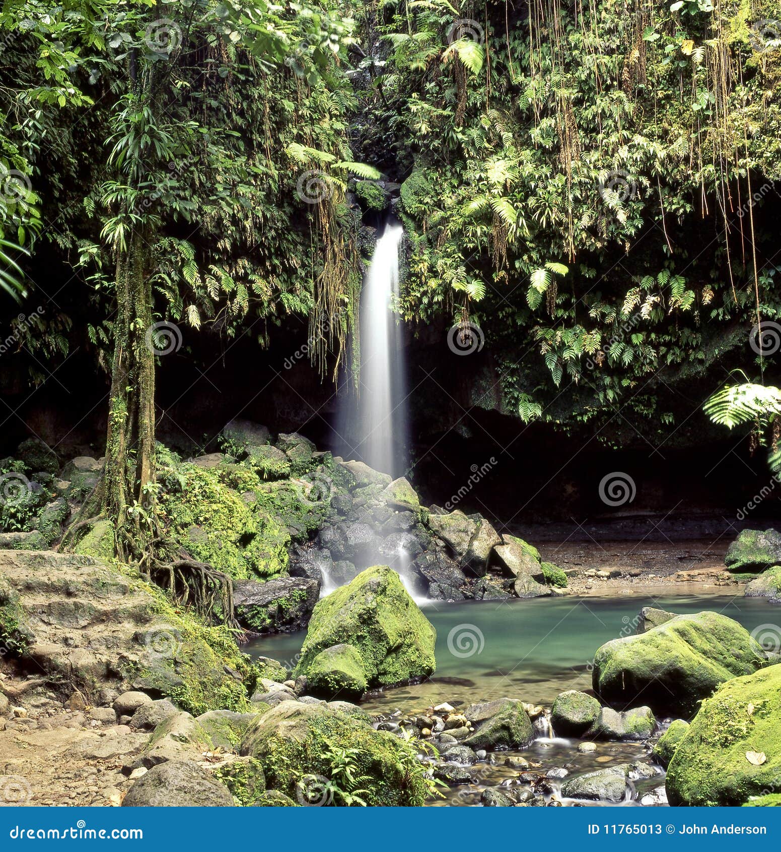 Emerald pool stock image. Image of hole, island, dominica - 11765013