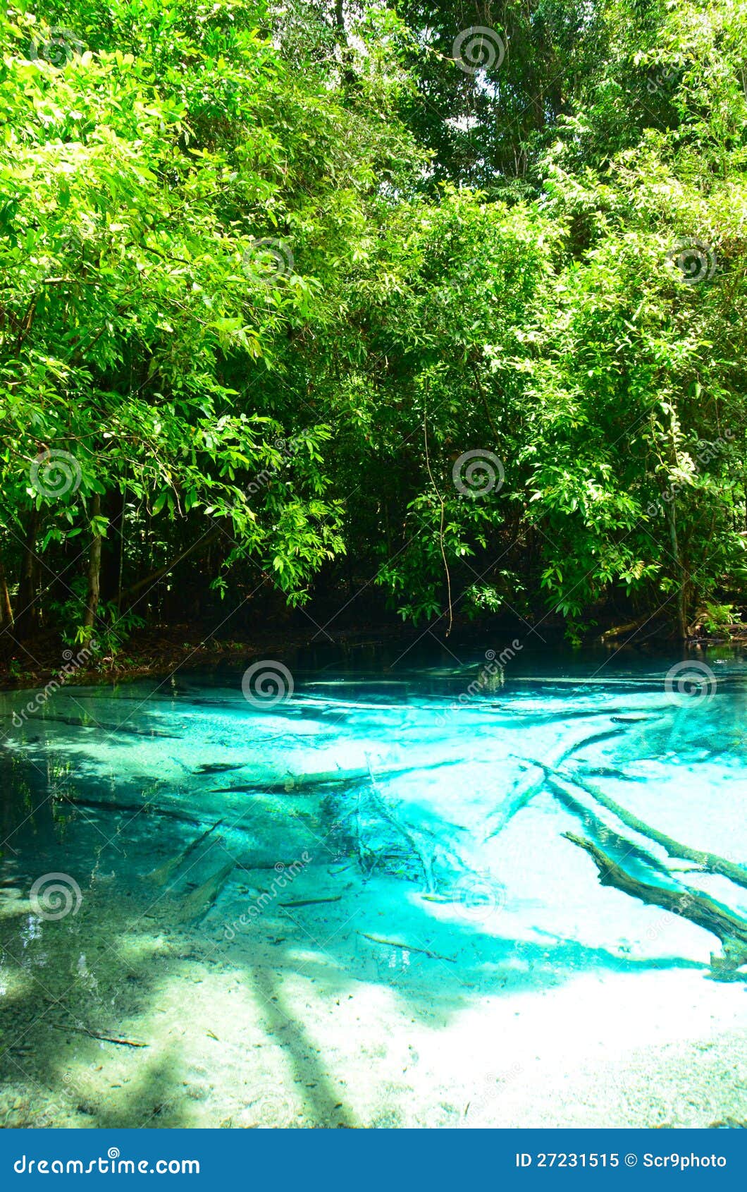 Emerald pool stock image. Image of horizontal, heaven - 27231515