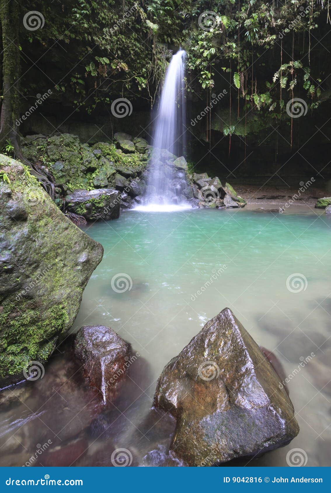 Emerald Pool And Tree Root Royalty-Free Stock Photography ...