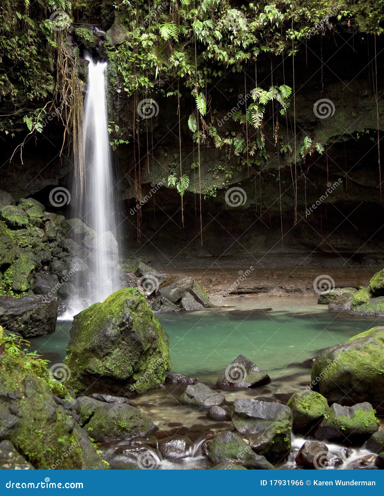 Emerald Pool, Dominica stock photo. Image of jungle, attraction - 17931966