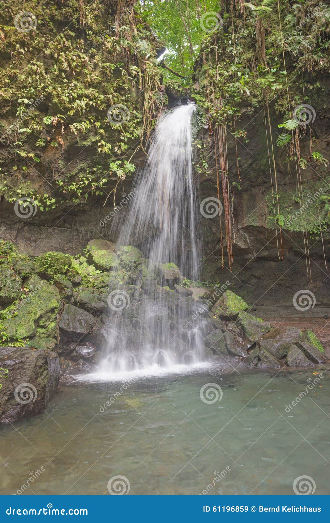 Emerald pool, Dominica stock image. Image of pool, cascade - 61196859