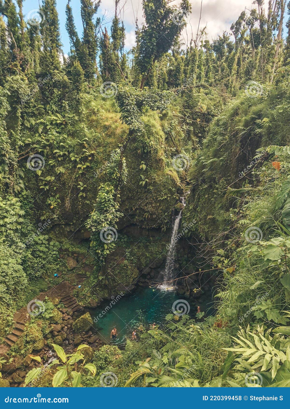 Emerald Pool Dominica stock photo. Image of tourism - 220399458