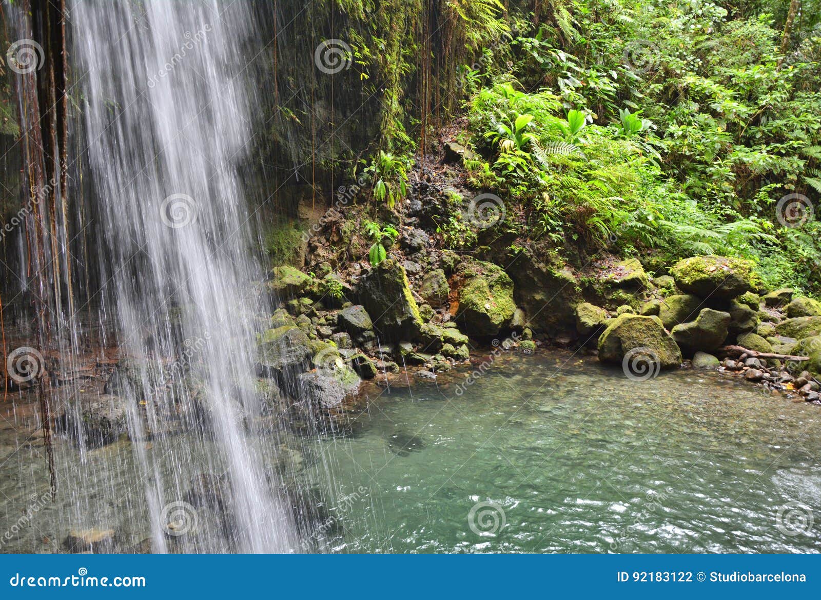 Emerald pool in Dominica stock photo. Image of natural - 92183122