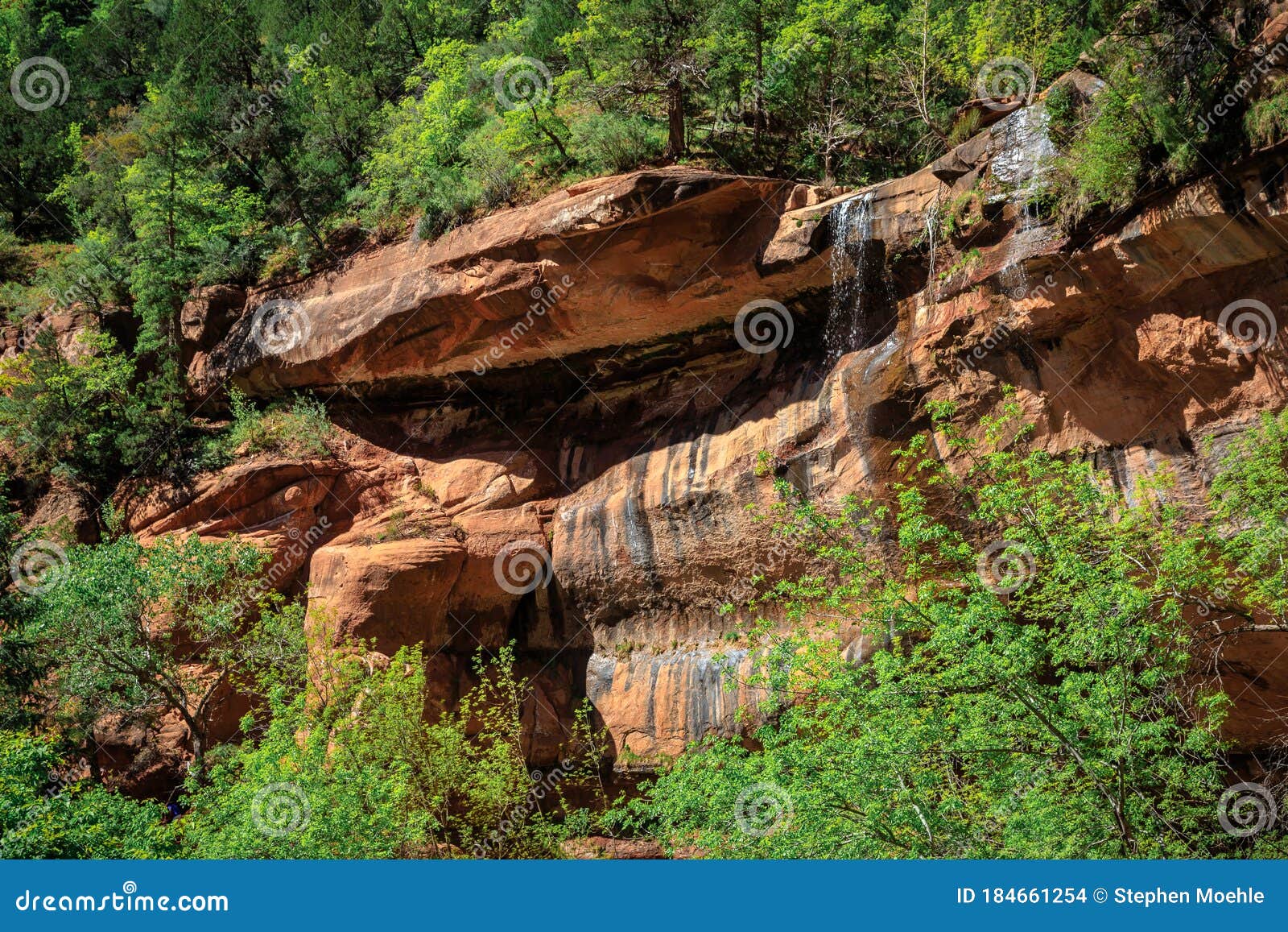 Emerald Pool Falls, Zion National Park, Utah Stock Photo - Image of ...