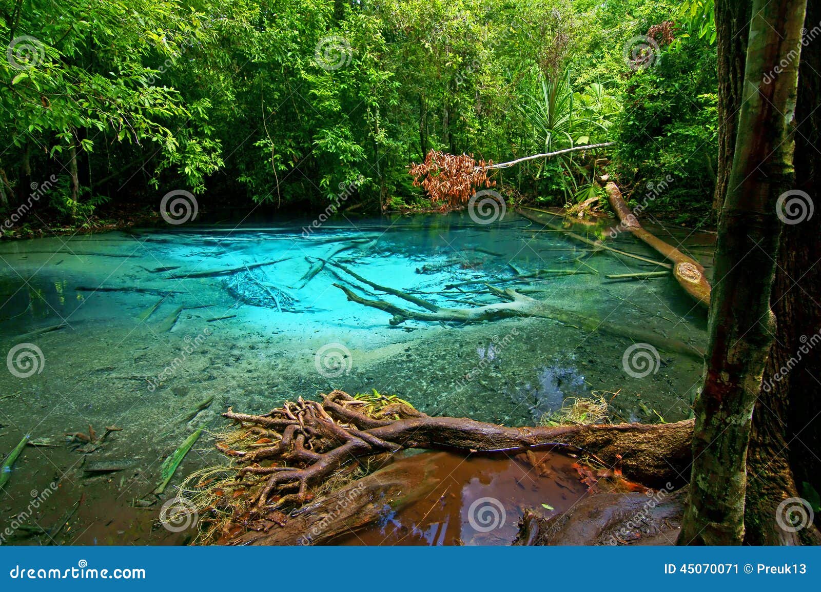 Emerald pool 6 stock image. Image of tree, shanty, tank - 45070071