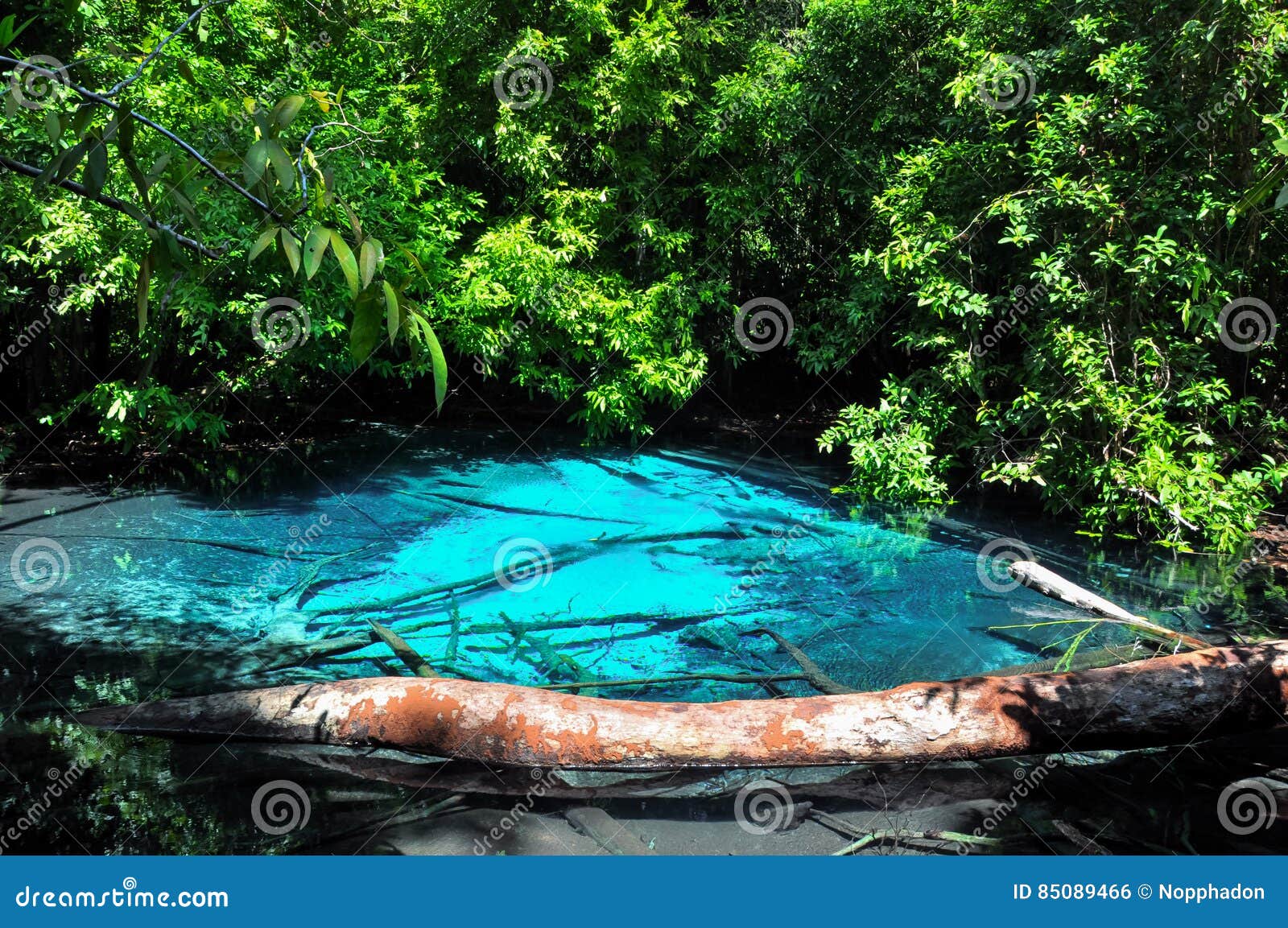 Emerald Pool in Thailand stock photo. Image of blue, landscape - 85089466