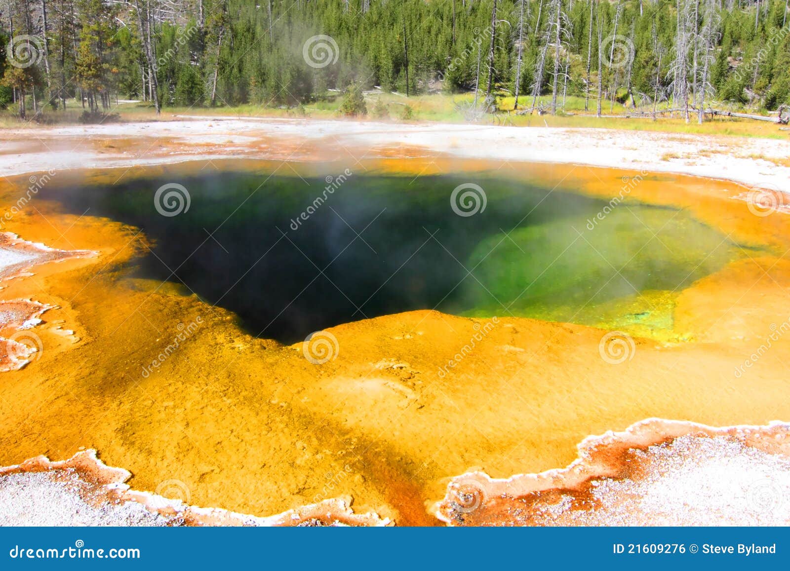 Emerald Pool Is Unseen Pool In Mangrove Forest At Krabi In Thailand ...