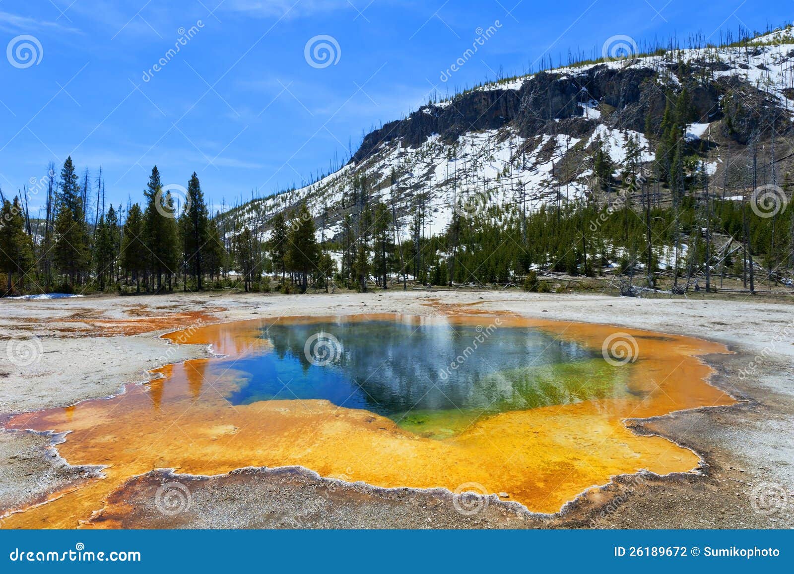 Emerald Pool Is Unseen Pool In Mangrove Forest At Krabi In Thailand ...