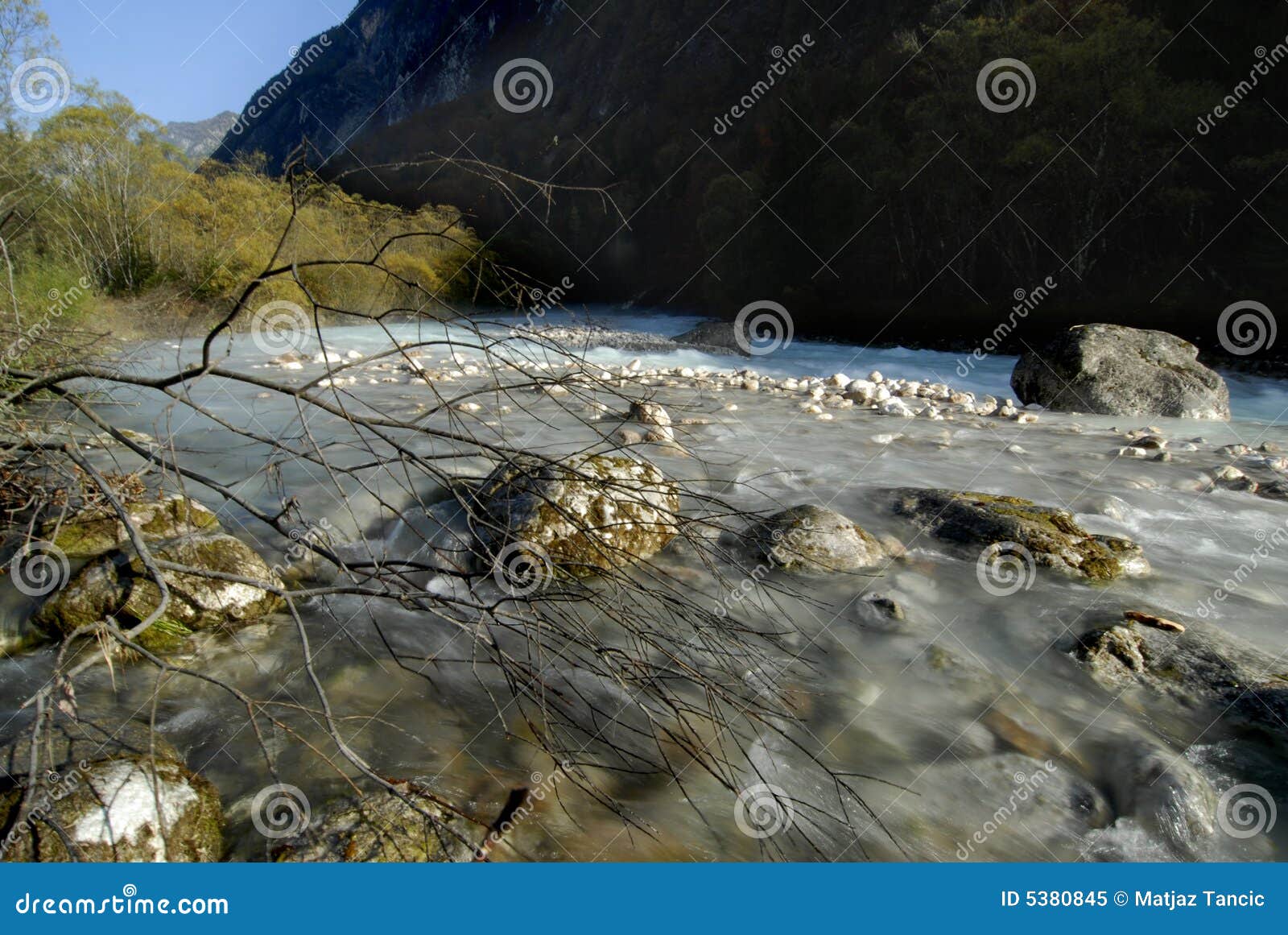 The emerald river stock image. Image of slovenija, wilderness - 5380845