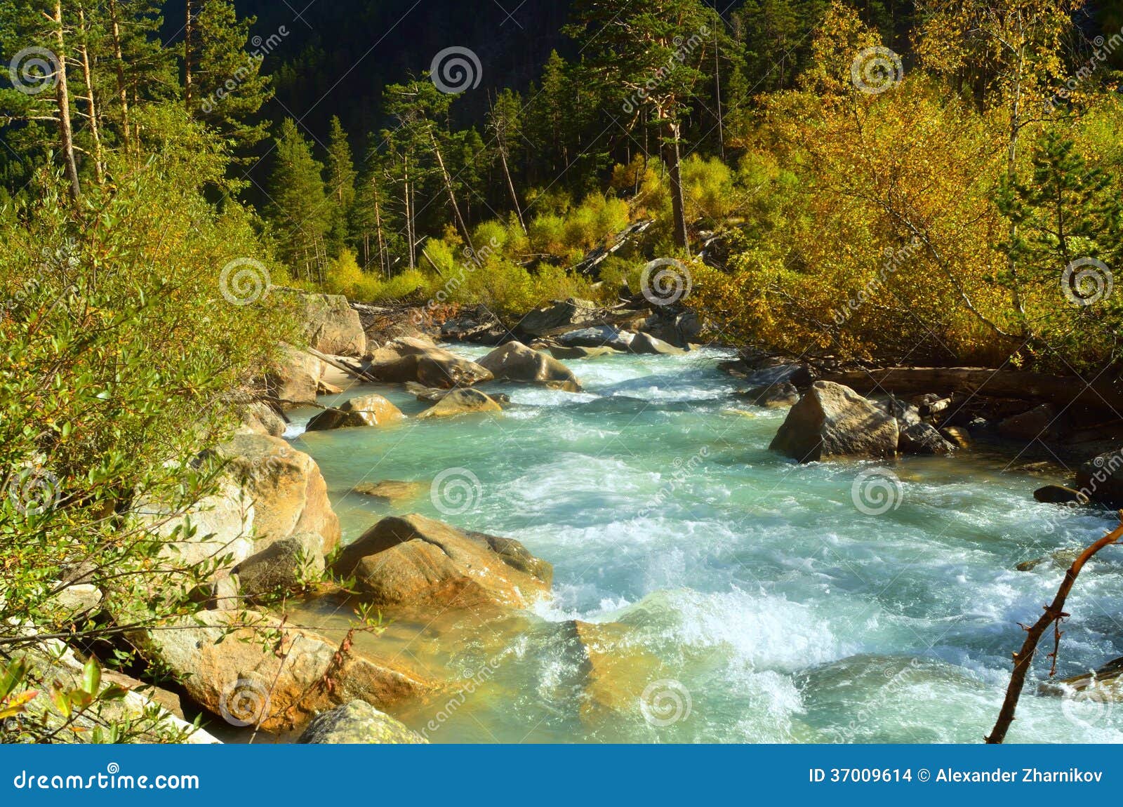 Emerald river stock photo. Image of reflection, emerald - 37009614