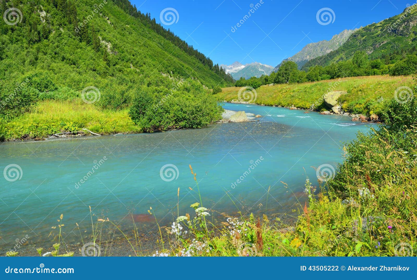 Emerald river stock photo. Image of birch, bank, blue - 43505222