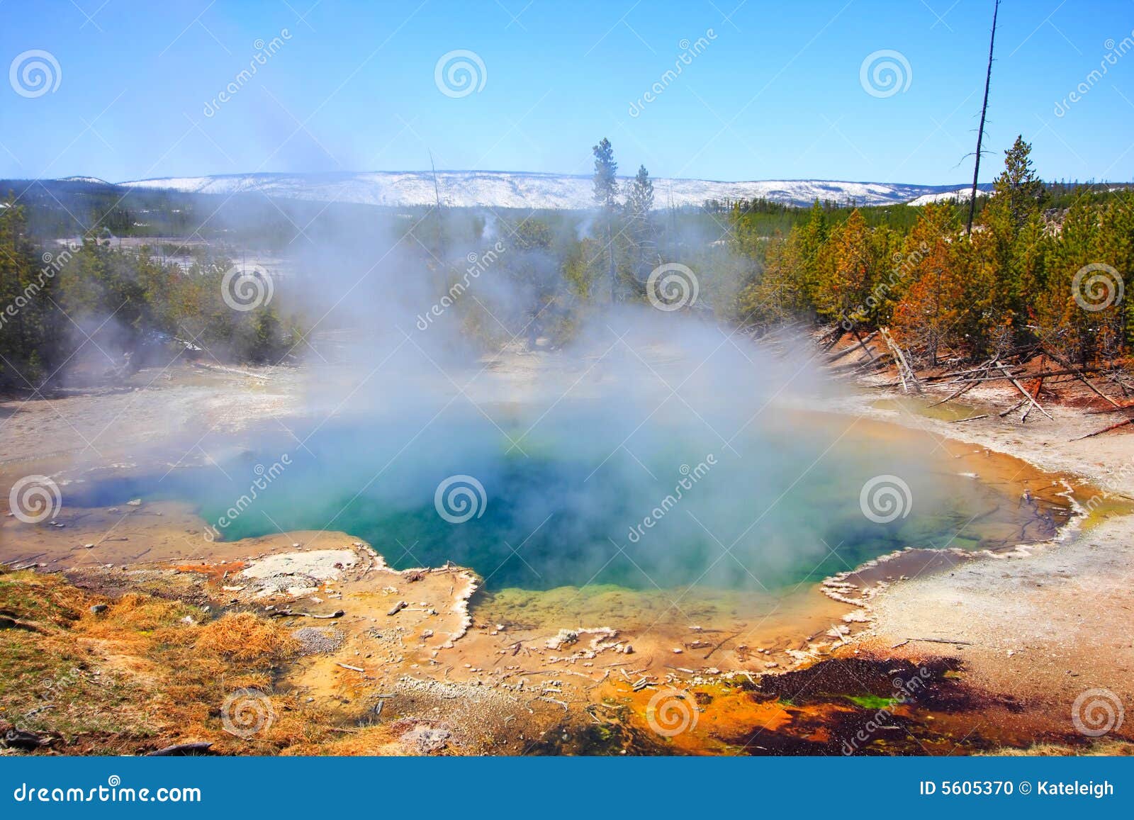 Emerald Springs, Yellowstone Stock Photo - Image of steamy, national ...