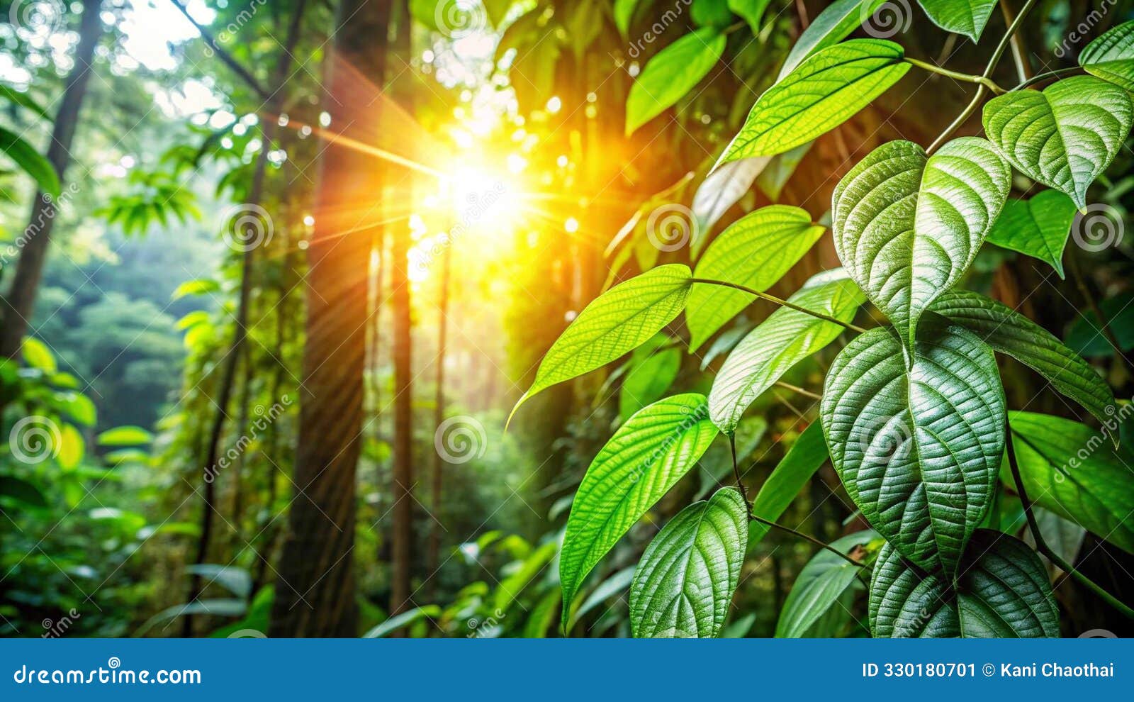 Emerald Vines Reaching for the Sun a Close-Up of Ayahuasca Vine Growing ...