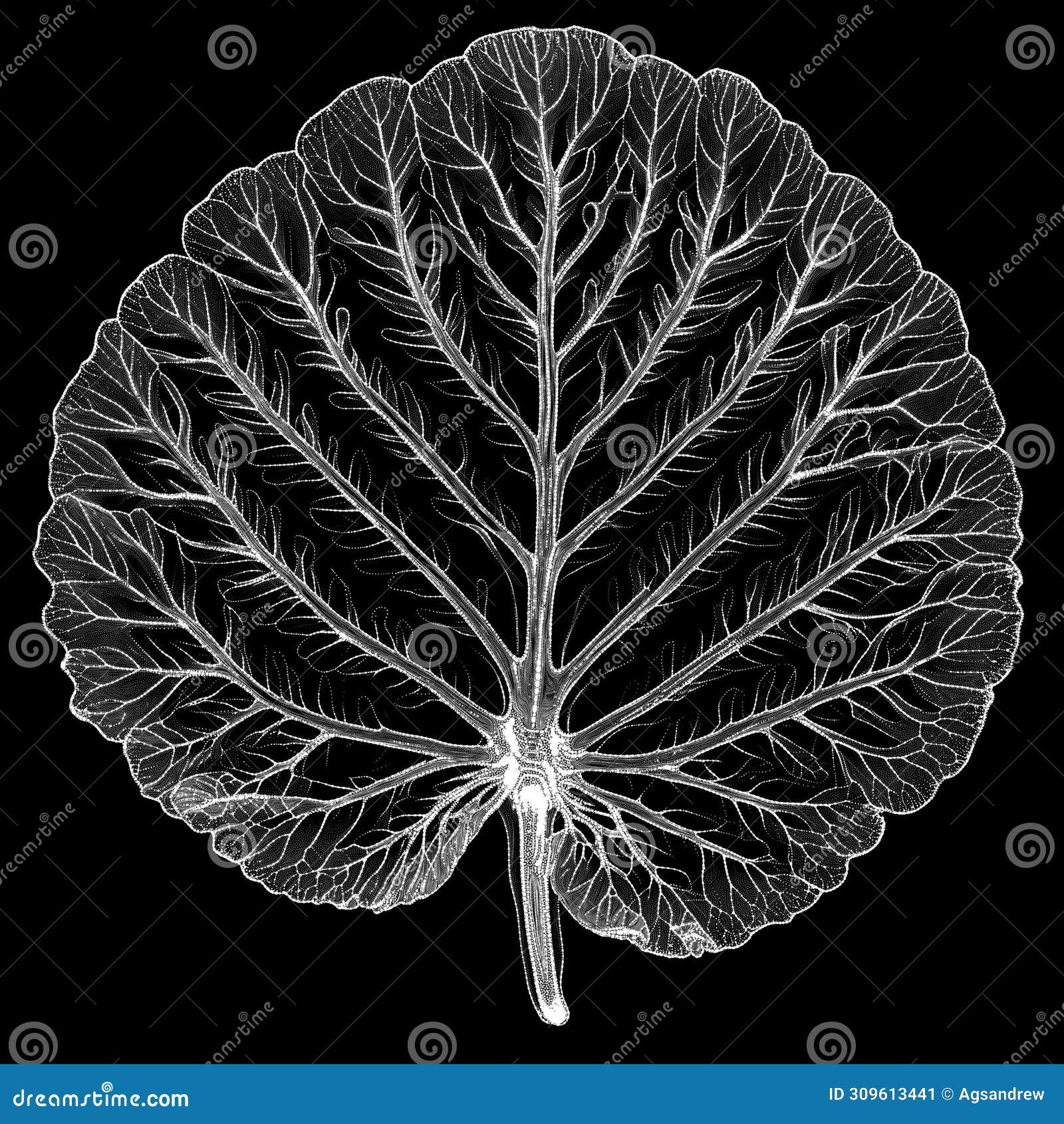 Emergence of Life Stippling Stock Image - Image of morphology ...