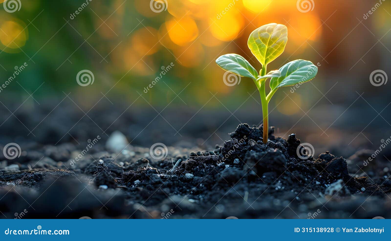 Emergence of Life: a Symbol of Perseverance. Concept Evolution ...