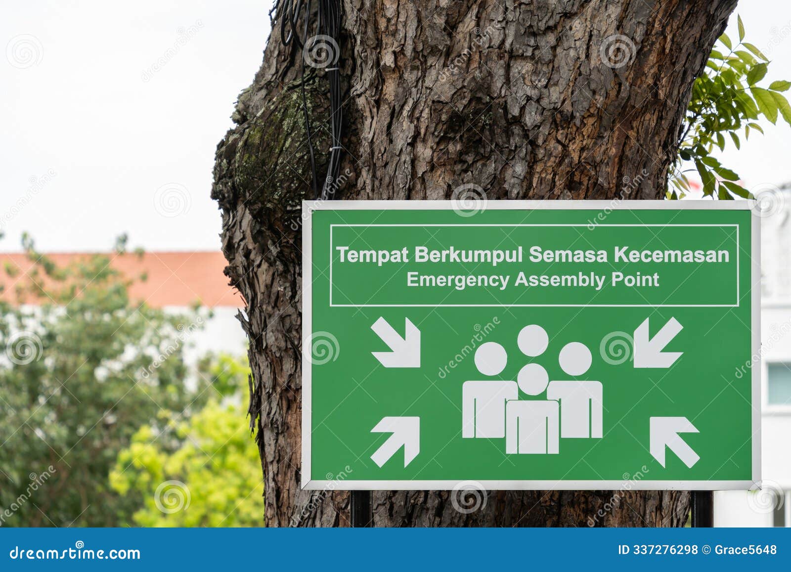 Emergency Assembly Point Sign in the Park Stock Photo - Image of help ...