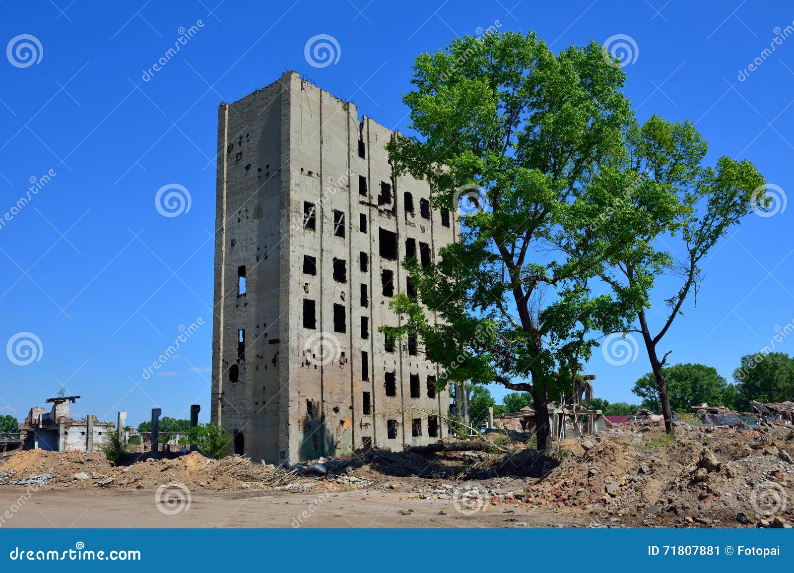 Emergency Building and Trees Stock Image - Image of accident, dirt ...