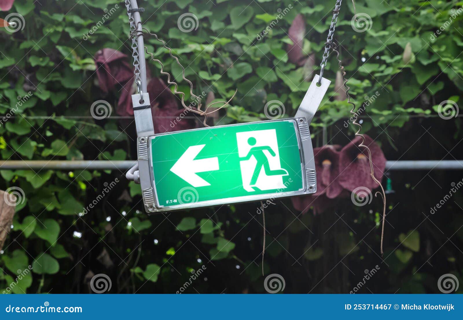 Emergency exit sign stock image. Image of arrow, green - 253714467