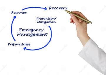 Emergency Management stock image. Image of person, diagram - 84307495