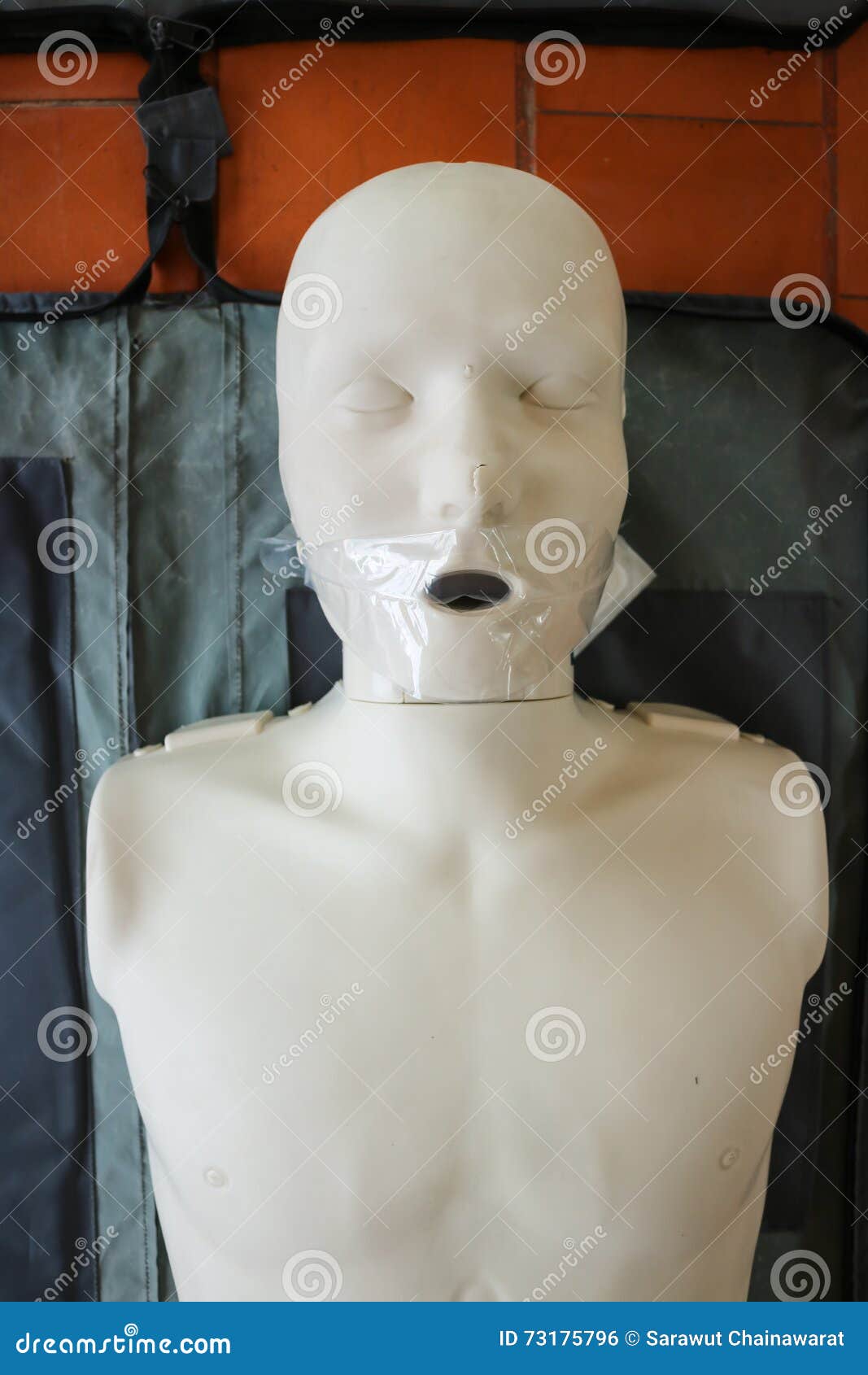 Emergency Training Model is Equipment for Training CPR. Stock Photo ...