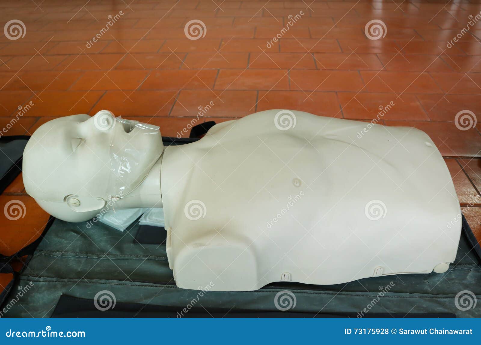 Emergency Training Model is Equipment for Training CPR. Stock Photo ...