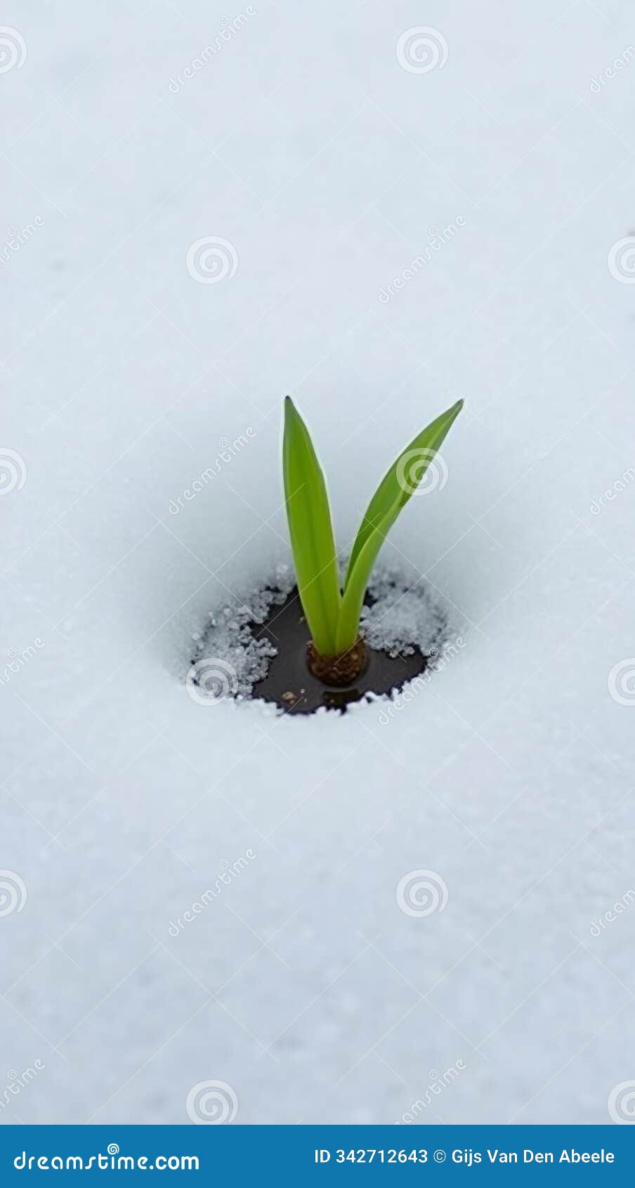 Emerging Green Growth In A High-Tech Controlled Environment Space ...