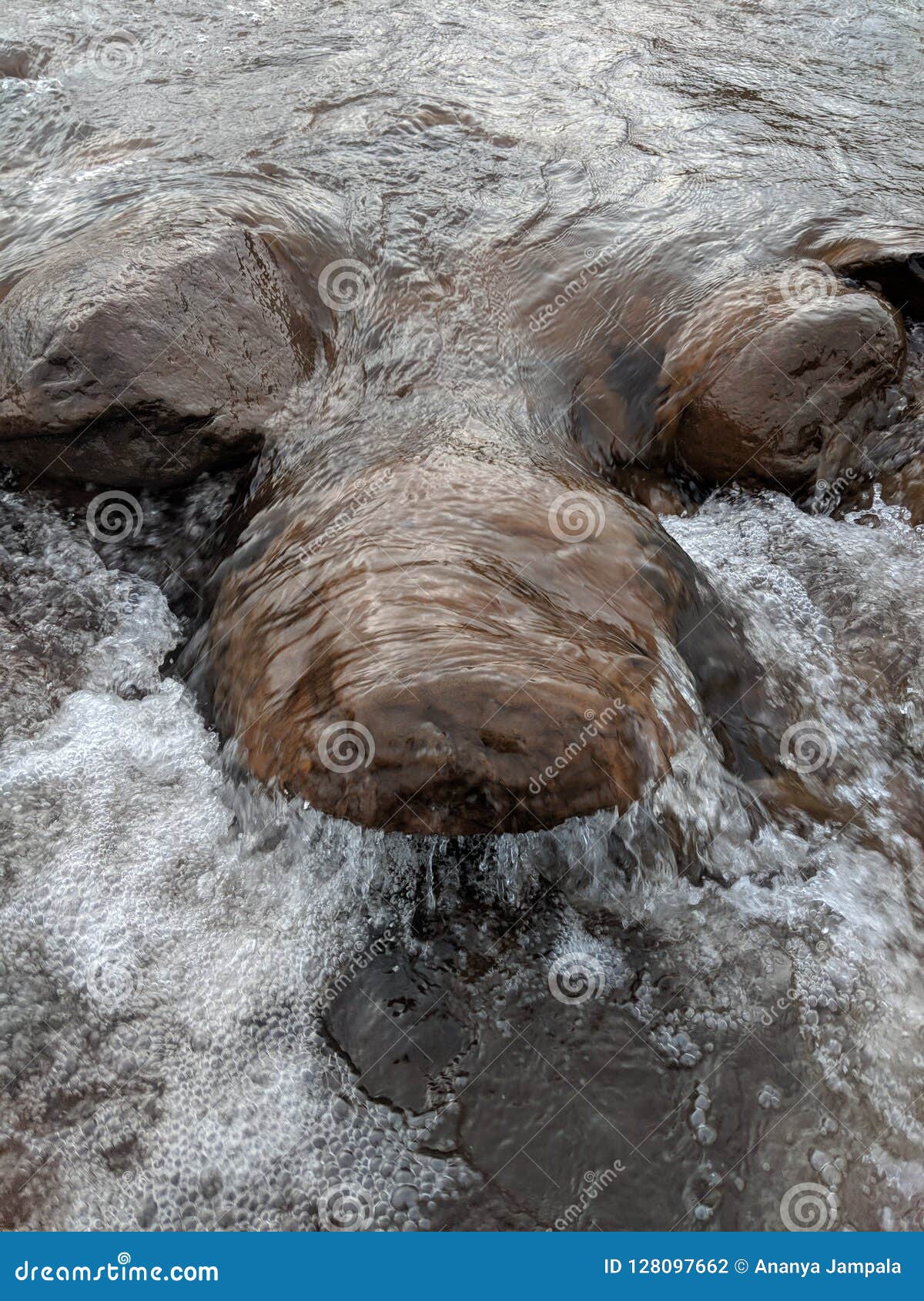 Snake head rock stock photo. Image of comming, stream - 128097662