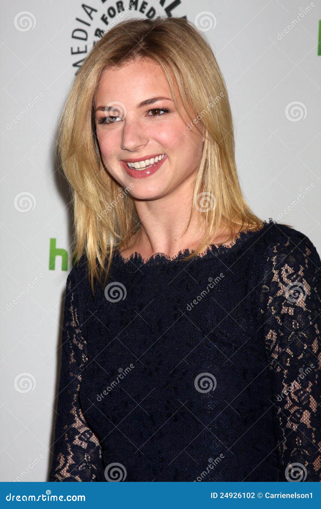 Emily Vancamp Hair Layers