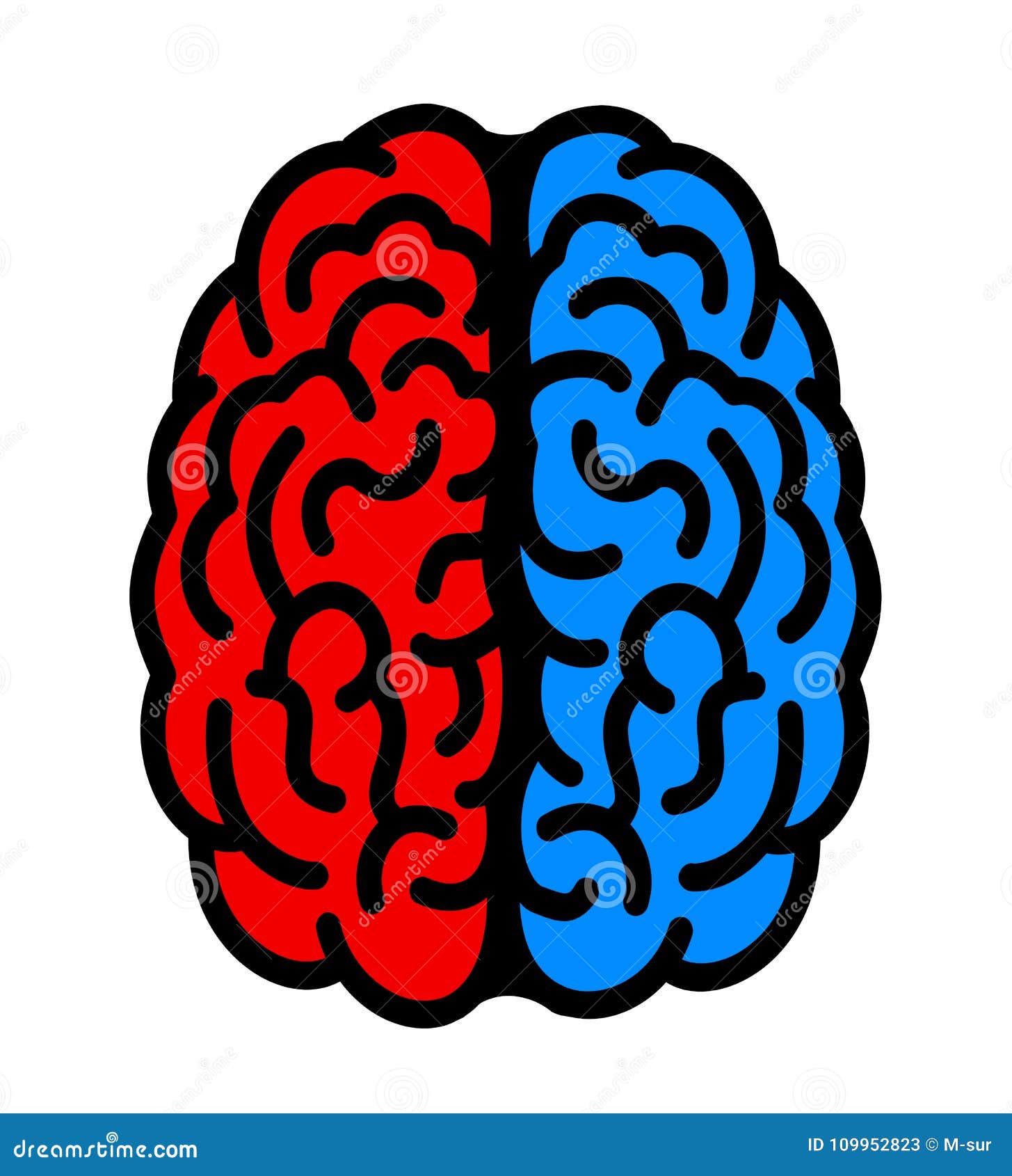 Emisfero Destro E Sinistro Del Cervello Illustrazione Vettoriale ... Emisfero Destro E Sinistro Del Cervello Illustrazione Vettoriale ...
