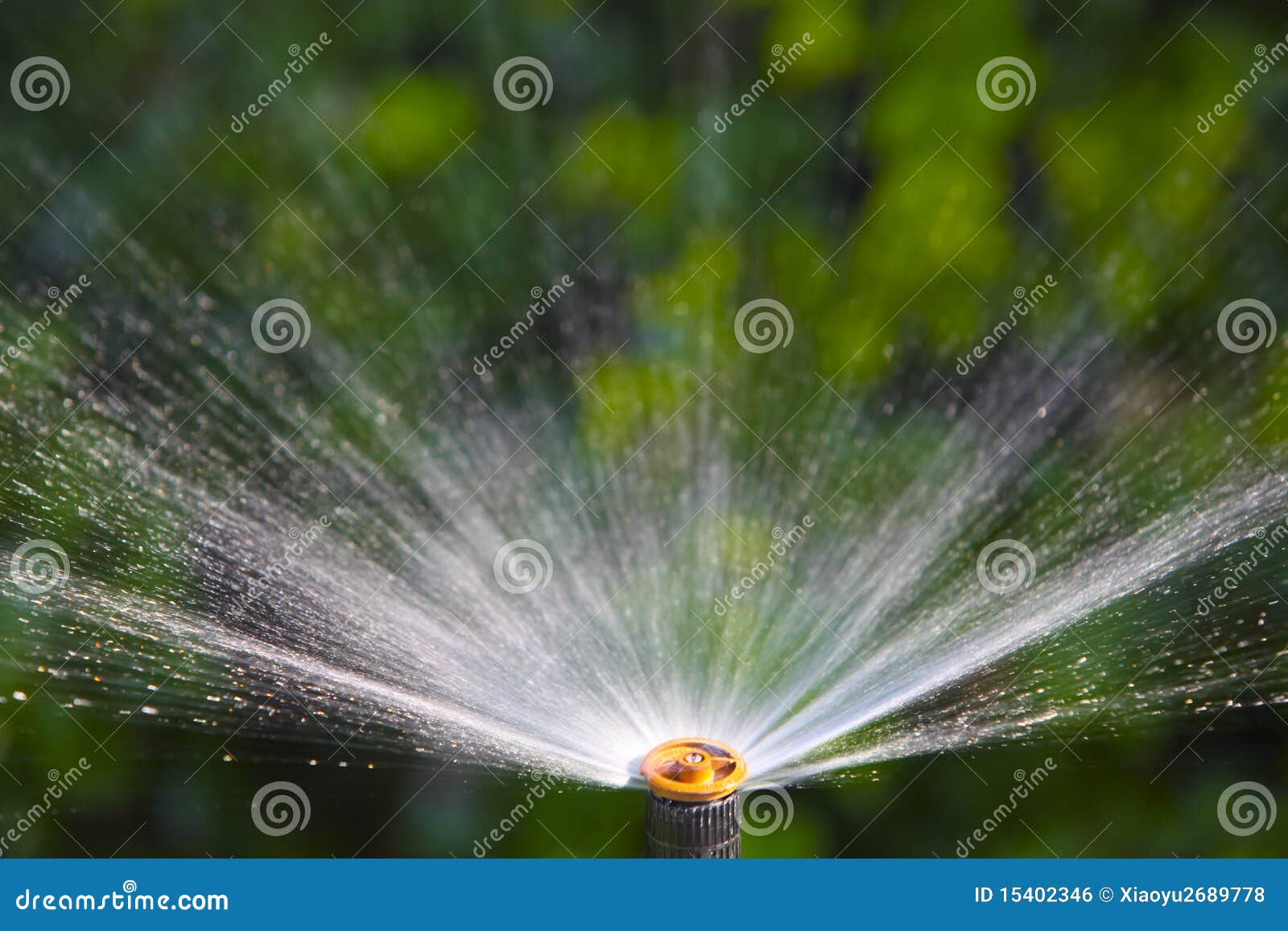 Emitted by the water stock photo. Image of splash, line - 15402346