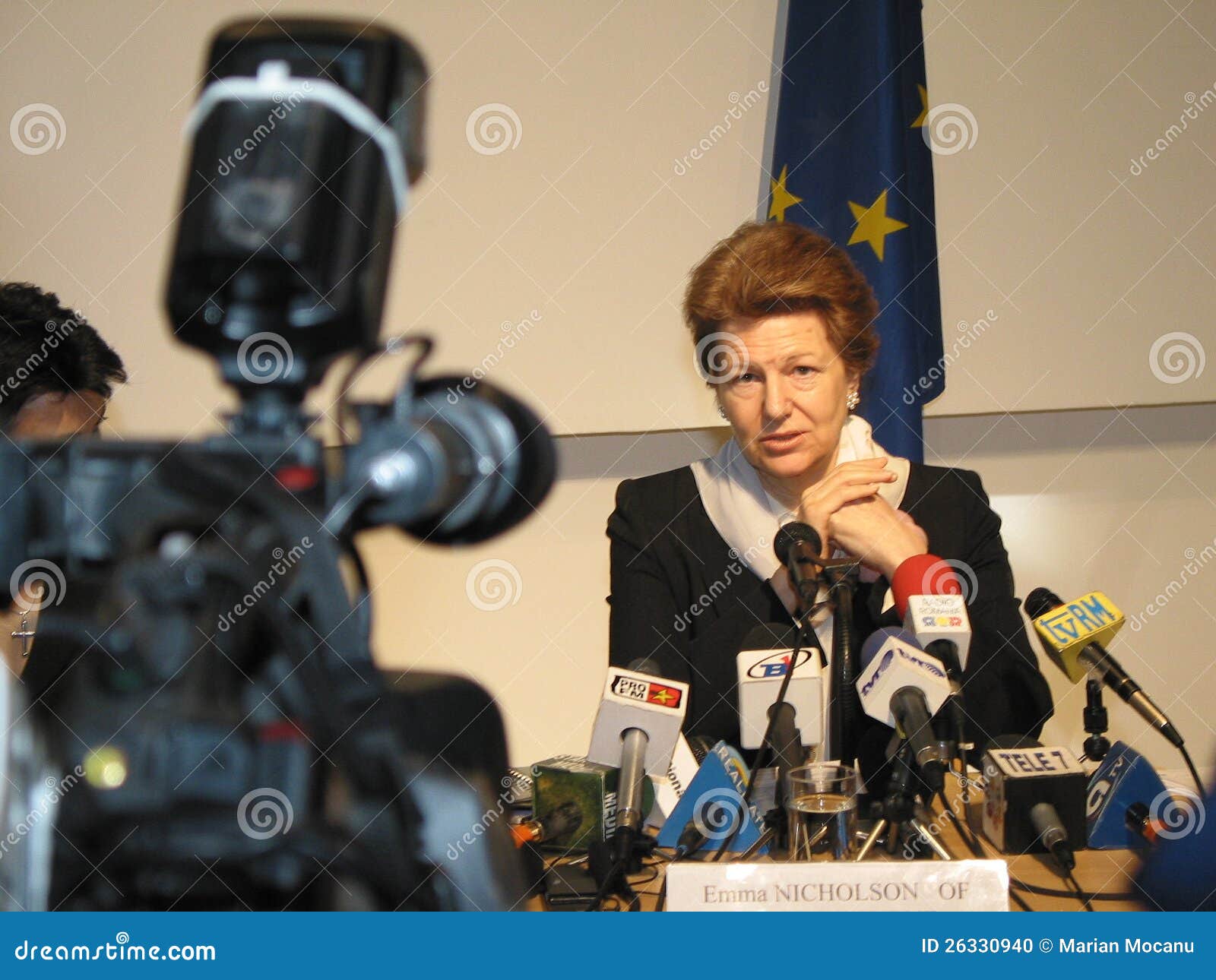 Emma Nicholson editorial image. Image of chamber, coference - 26330940