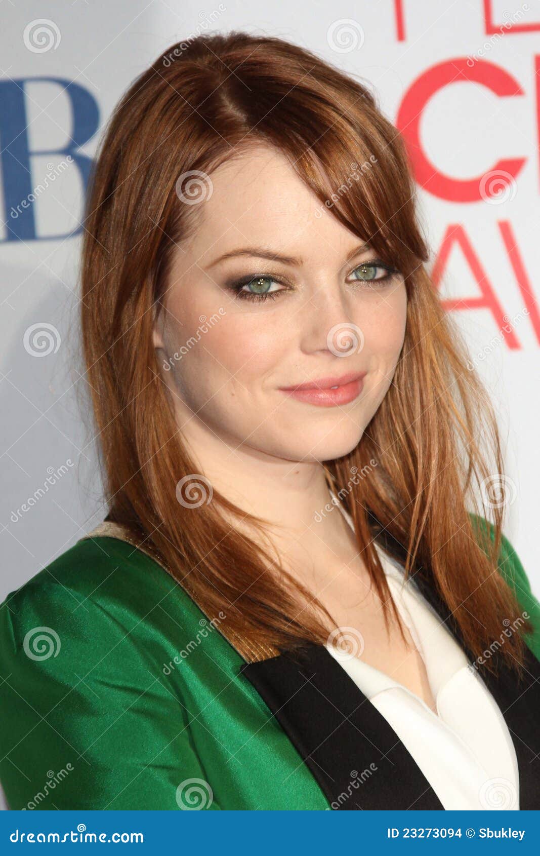 Emma-Stein redaktionelles stockbild. Bild von wahl, preise - 23273094