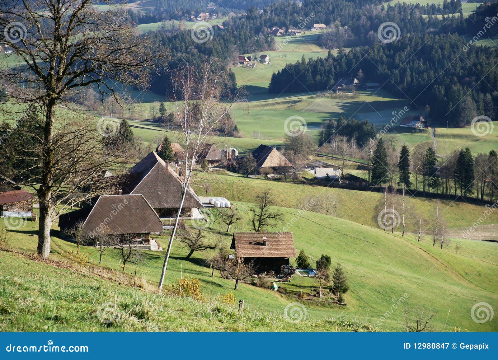 Emmental stock image. Image of swiss, solitude, farming - 12980847