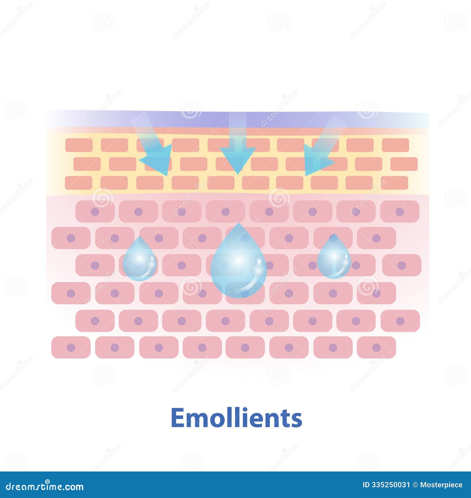 Emollients, Type of Moisturizer Vector Illustration Isolated on White ...