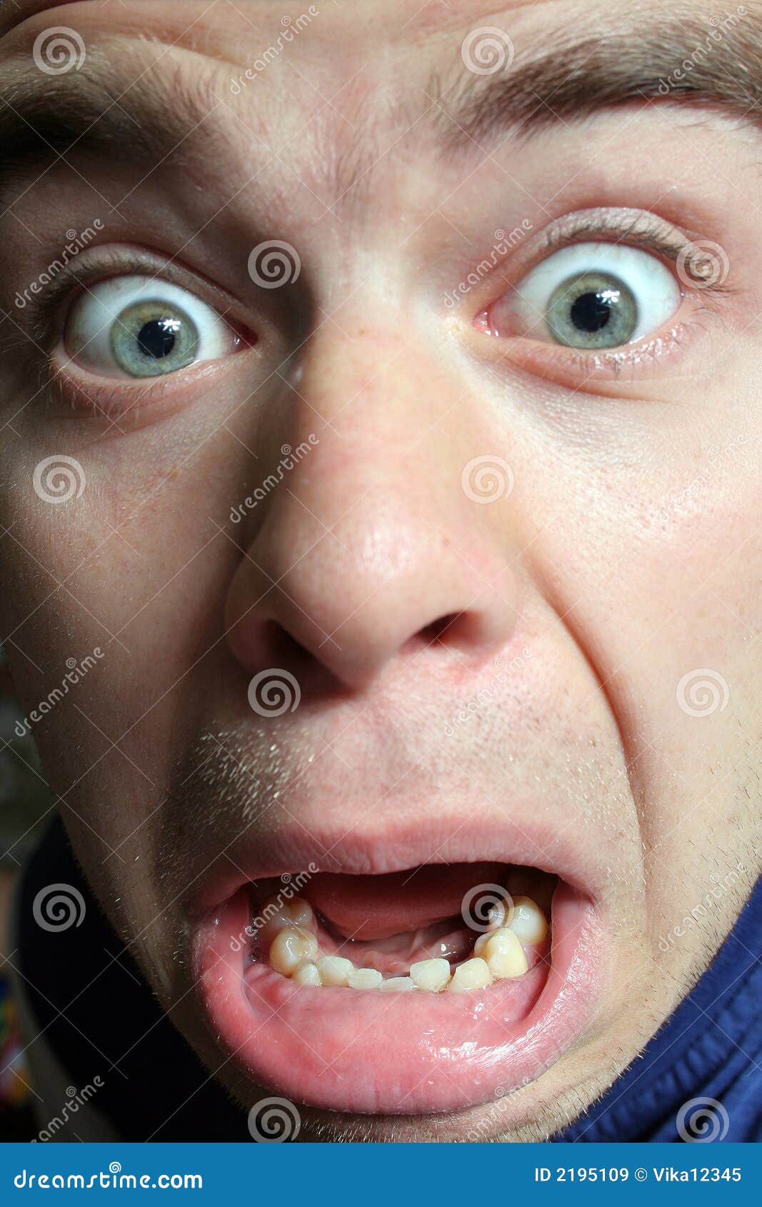 Emotion stock image. Image of bristle, tooth, nose, horror - 2195109