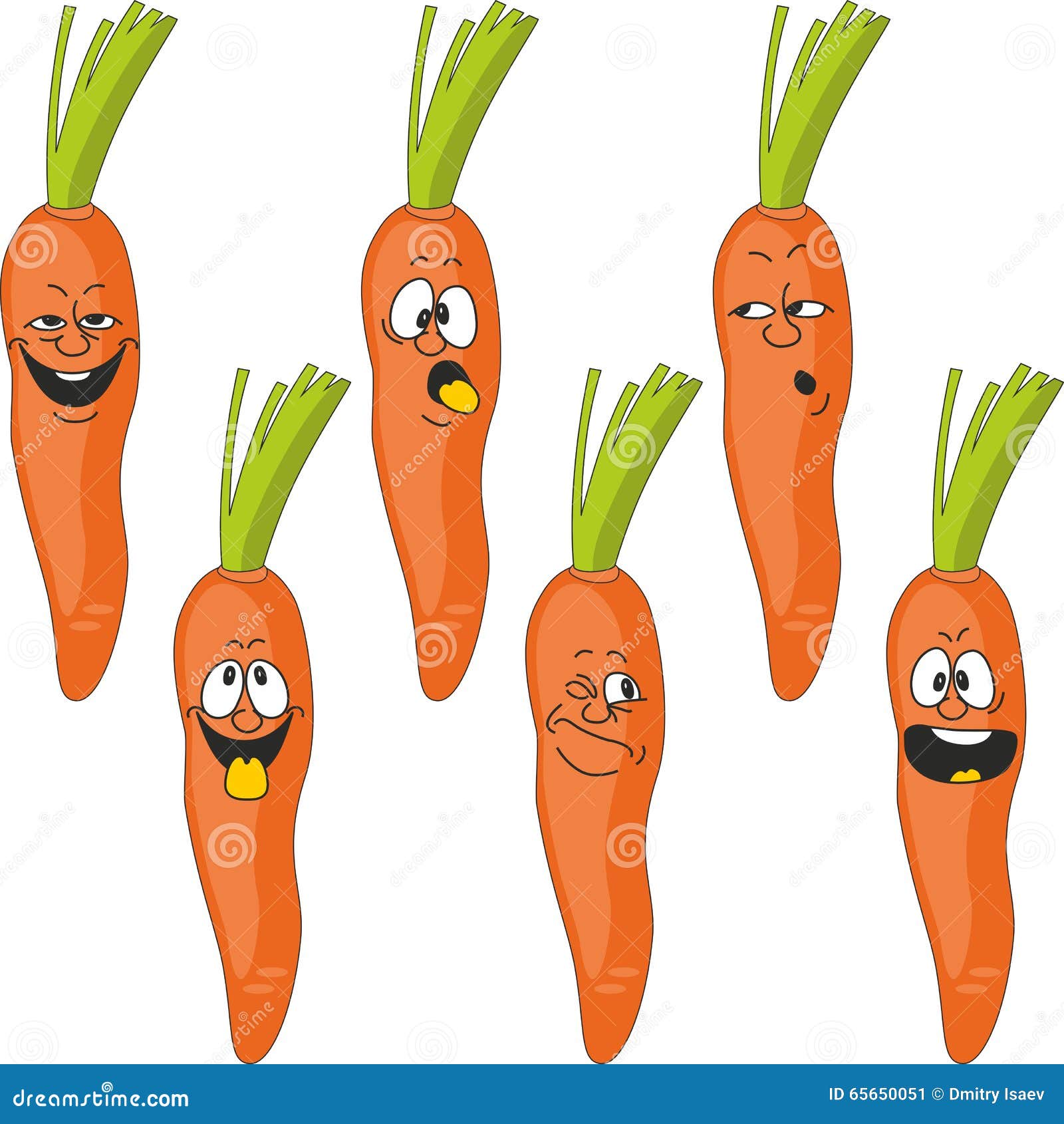 Carrot Vegetables Growing. Plant Showing Root Structure. Farm Product ...