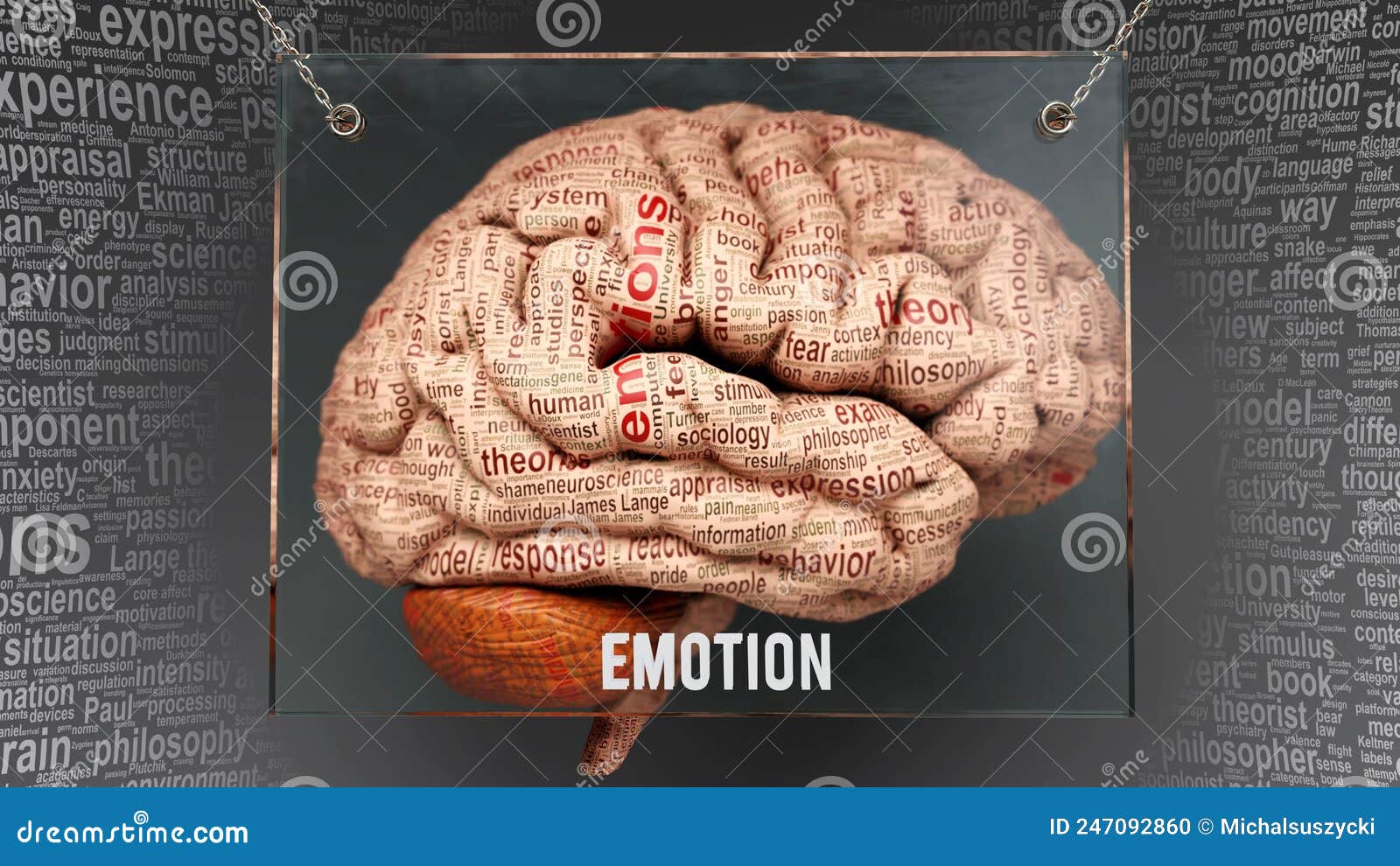Emotion in human brain stock illustration. Illustration of mind - 247092860
