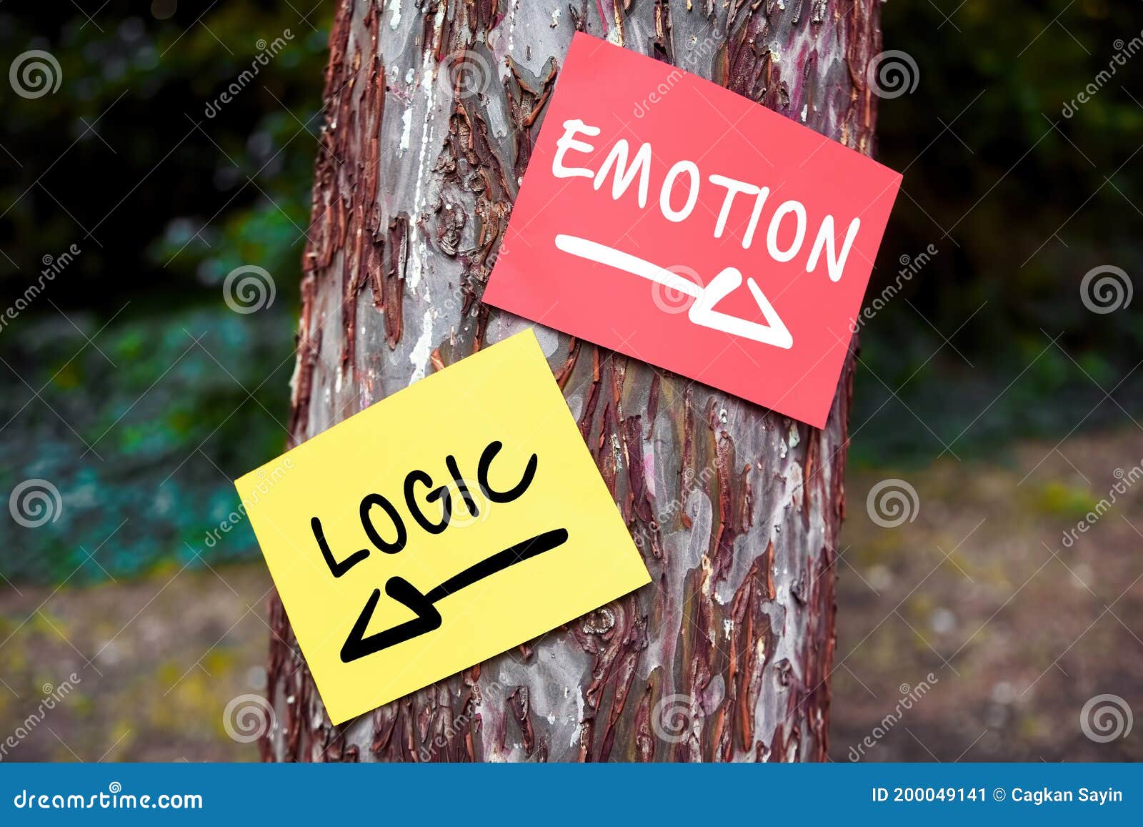 Emotion And Logic Words Written On Papers On A Tree With Arrow Signs ... Emotion And Logic Words Written On Papers On A Tree With Arrow Signs ...