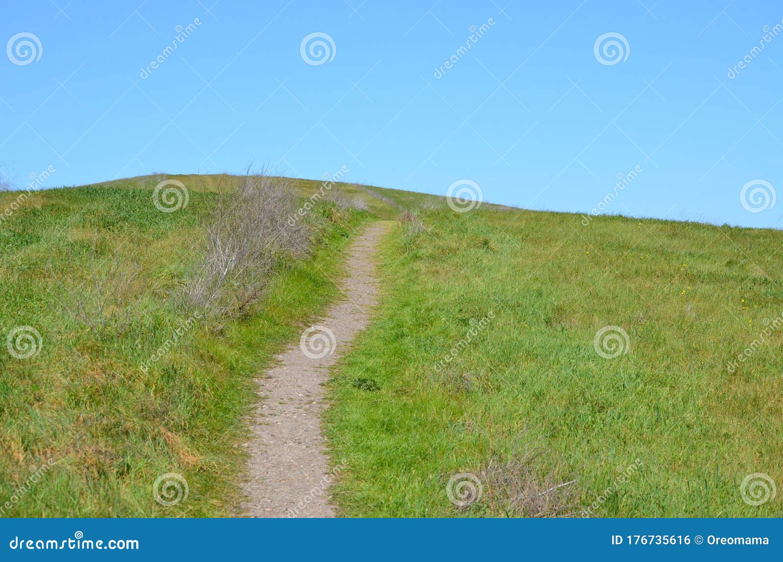 Path through field stock photo. Image of meadow, path - 176735616