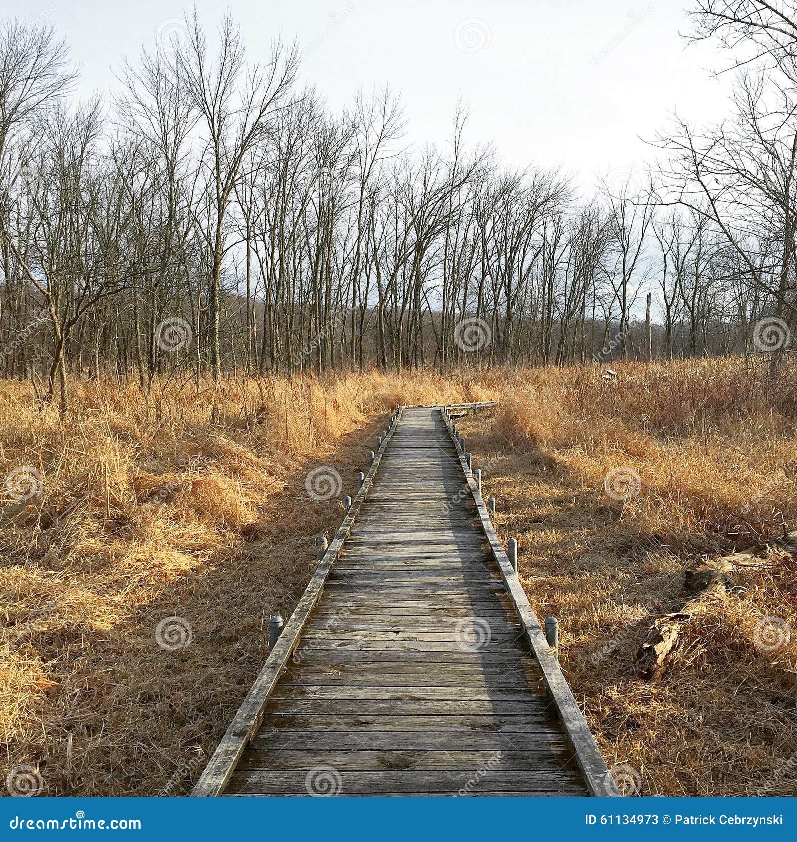 Empty Walking stock image. Image of path, fall, walking - 61134973