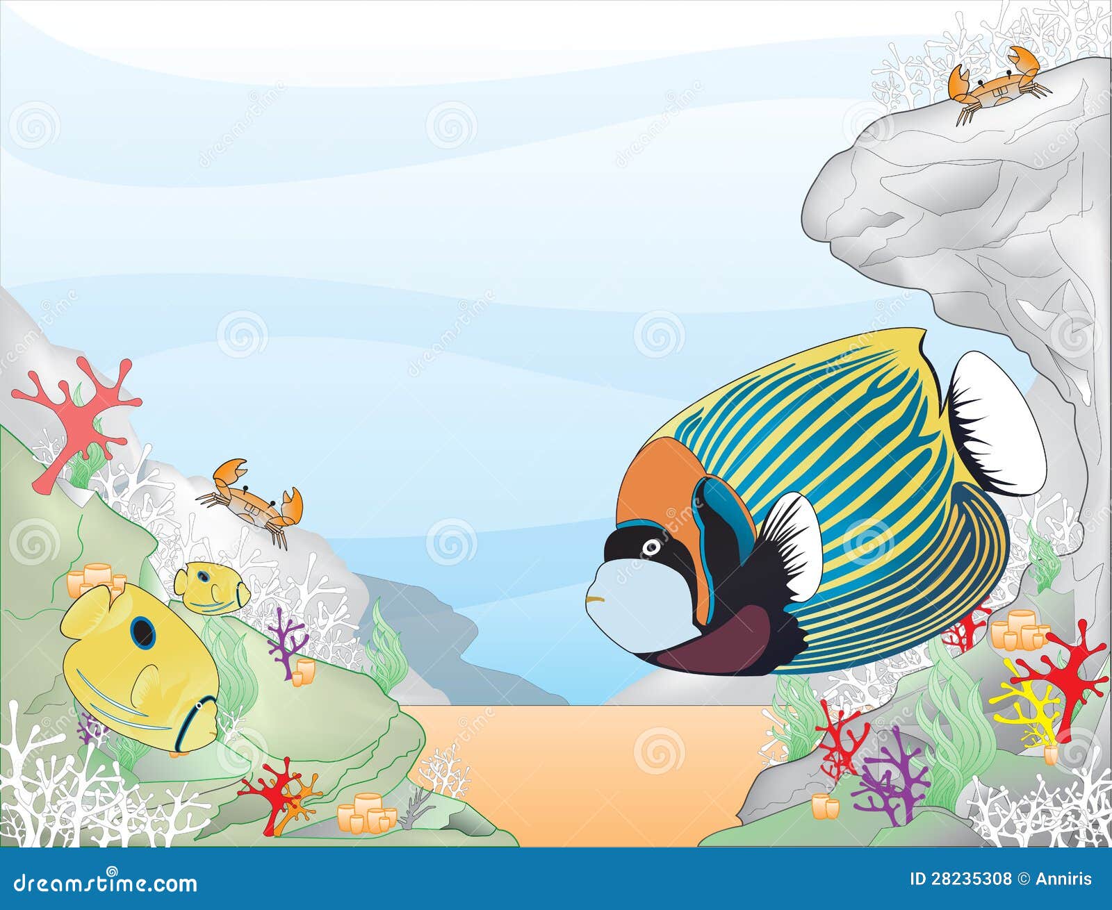 Emperor Angelfish Pomacanthus Imperator, Hand Drawn Watercolor Royalty ...