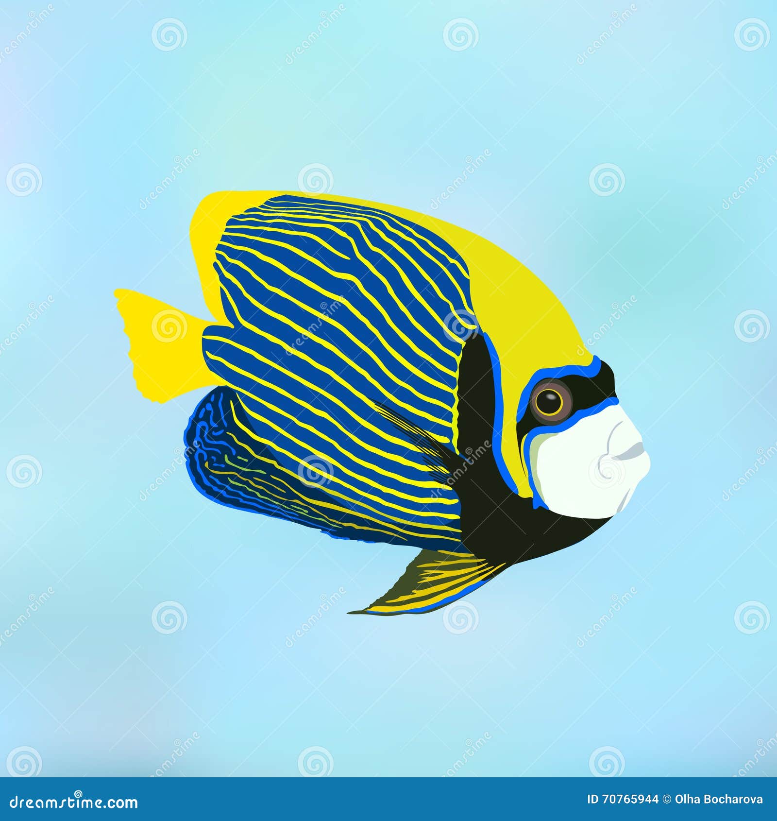 Pomacanthus Cartoons, Illustrations & Vector Stock Images - 164 ...