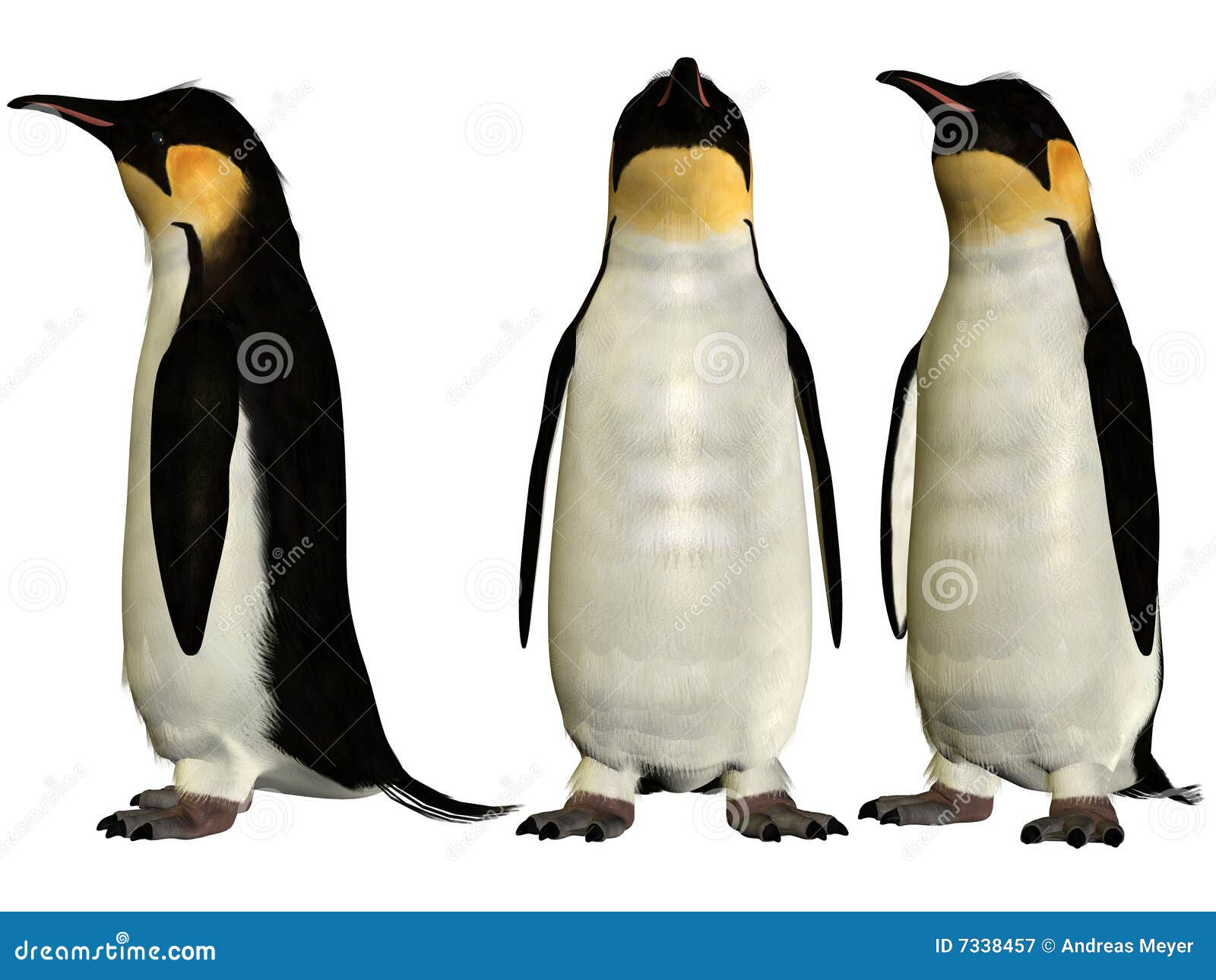 Emperor Penguin stock illustration. Illustration of render - 7338457